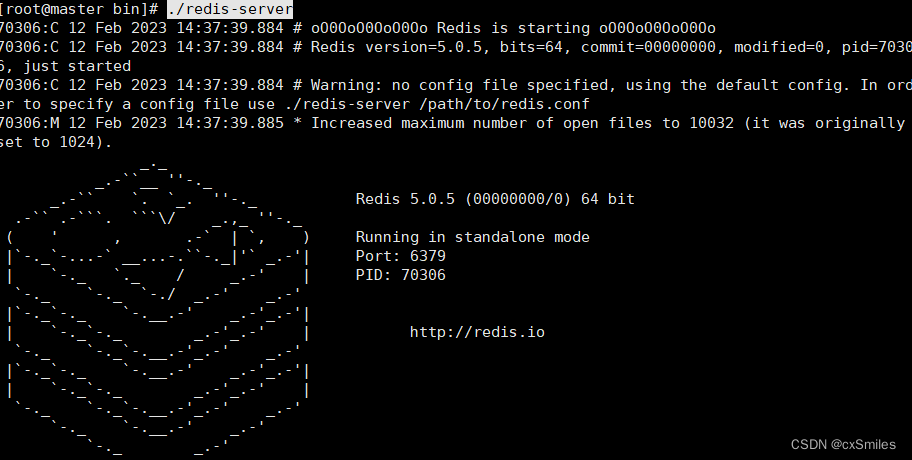 Linux安装redis5.0 (超完整图文详细教程)-CSDN博客