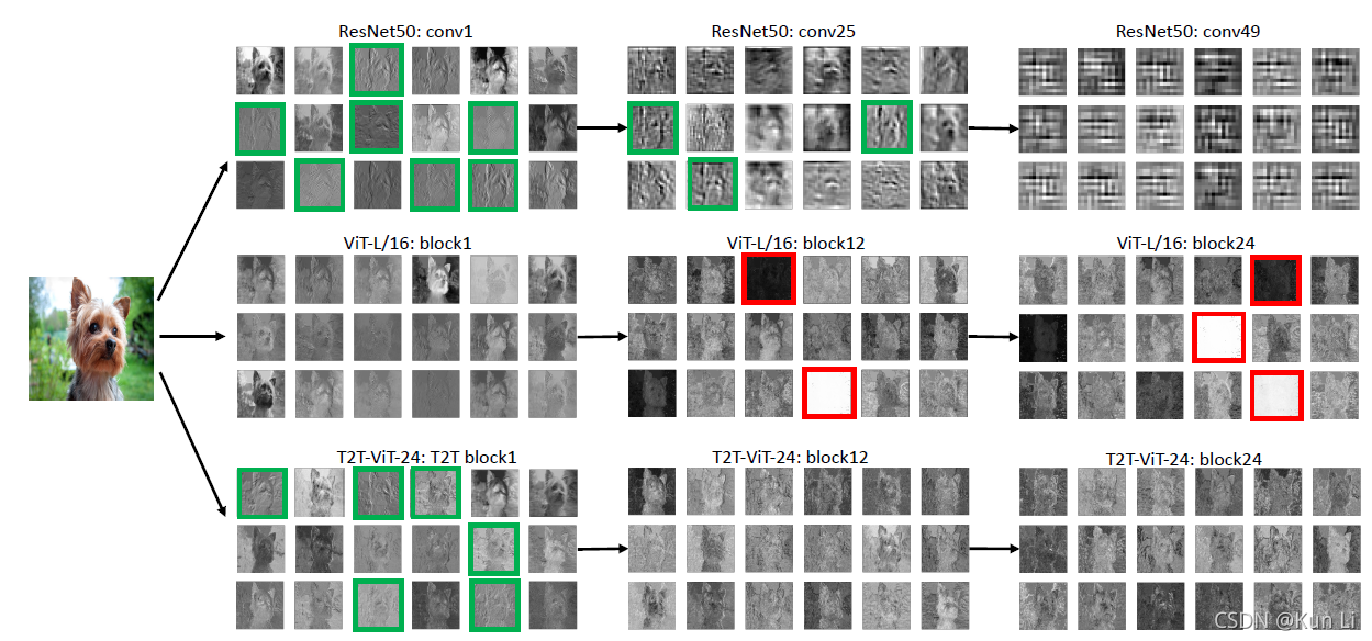 T2T-ViT详解-CSDN博客
