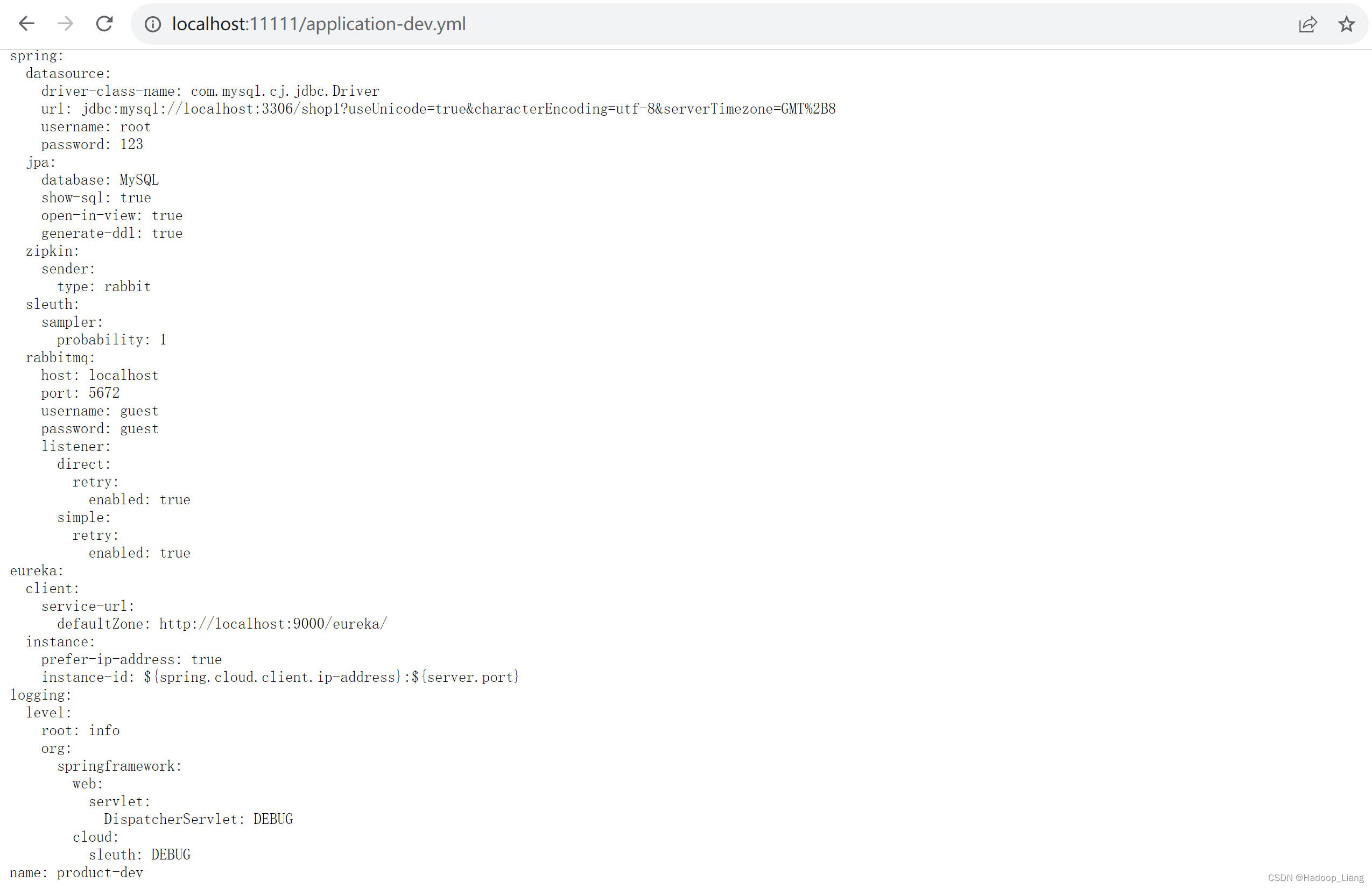 配置中心--Spring Cloud Config_spring cloud config配置中心-CSDN博客