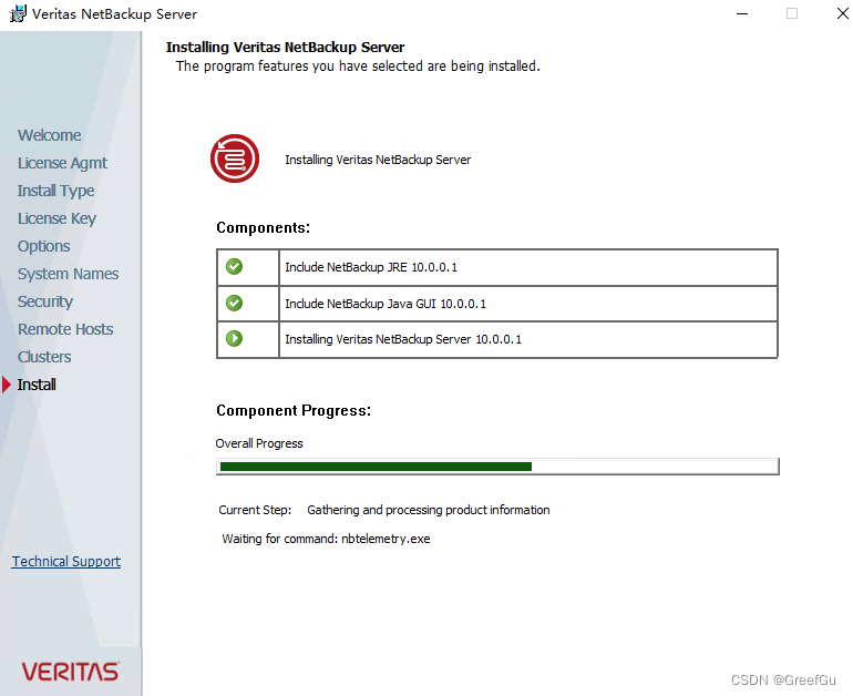 Veritas NetBackup10.1 windows安装-CSDN博客