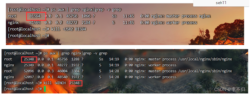 web网站搭建（nginx优化）二_两颗cpu keepalived只跑在一颗cpu上-CSDN博客