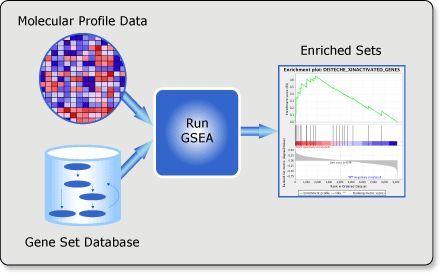 GSEA原理及一些理解_gsea和go的区别-CSDN博客