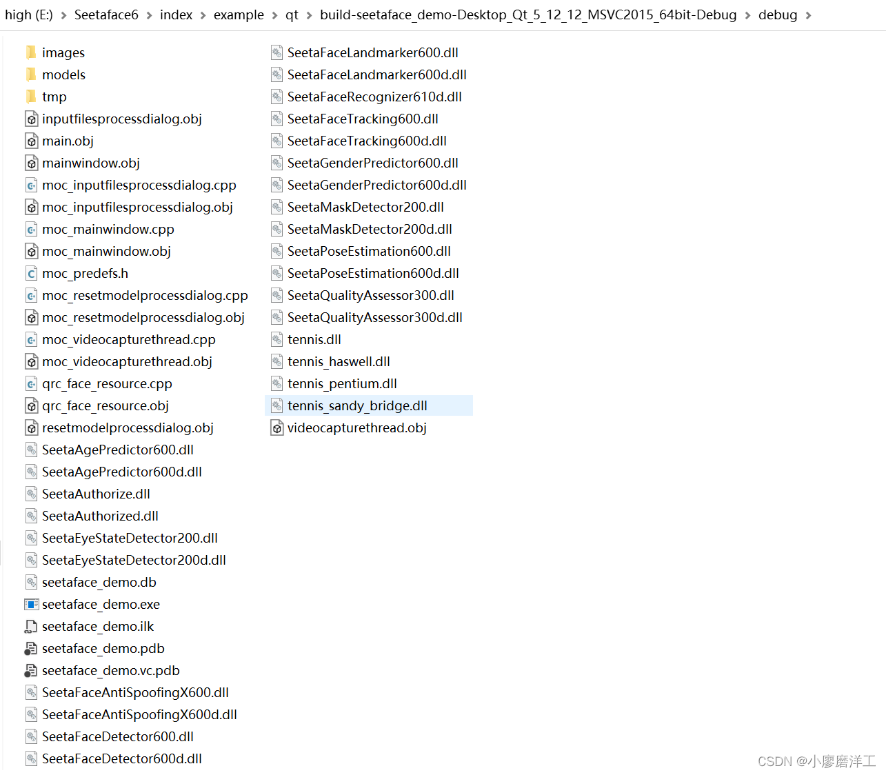 Windows 系统配置 Seetaface6并跑通其中人脸识别emo程序-CSDN博客
