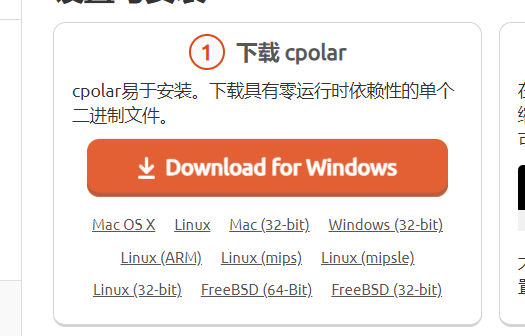 内网穿透工具-cpolar_cpolar websocket-CSDN博客