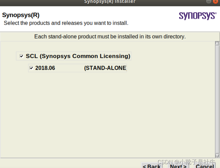 WIN10和Ubuntu双系统安装以及Synopsys工具环境的搭建_ubuntu 安装synopsys 碰到 singularity centos container-CSDN博客
