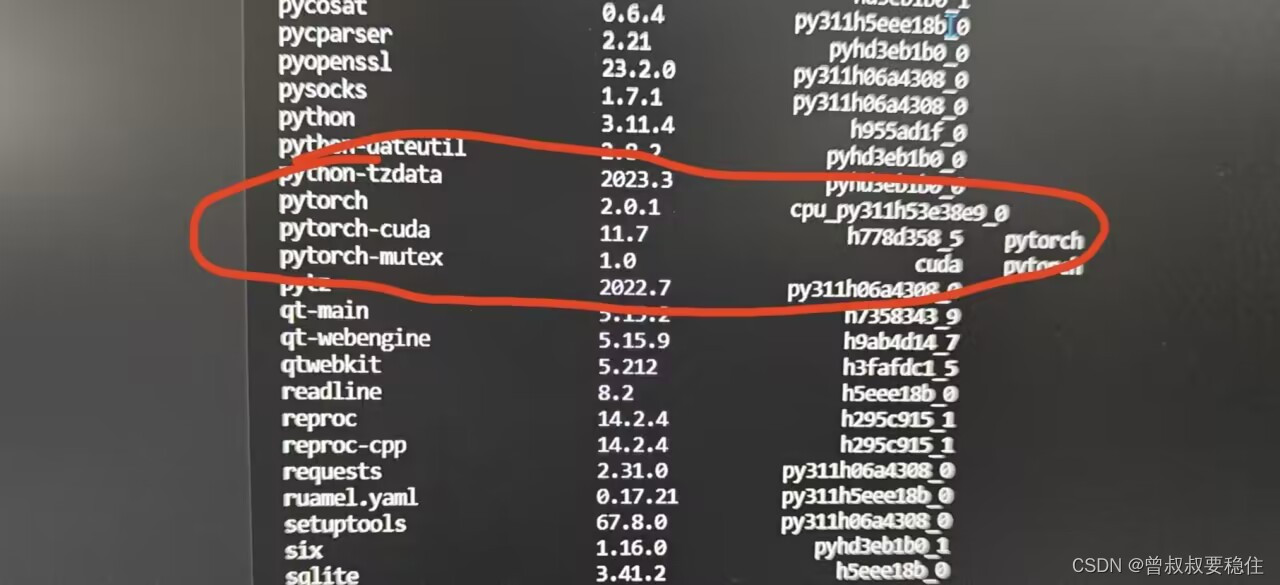 Ubuntu服务器安装pytorch，torch.cuda.is_available()始终返回False_ubuntu系统cuda总是返回false-CSDN博客