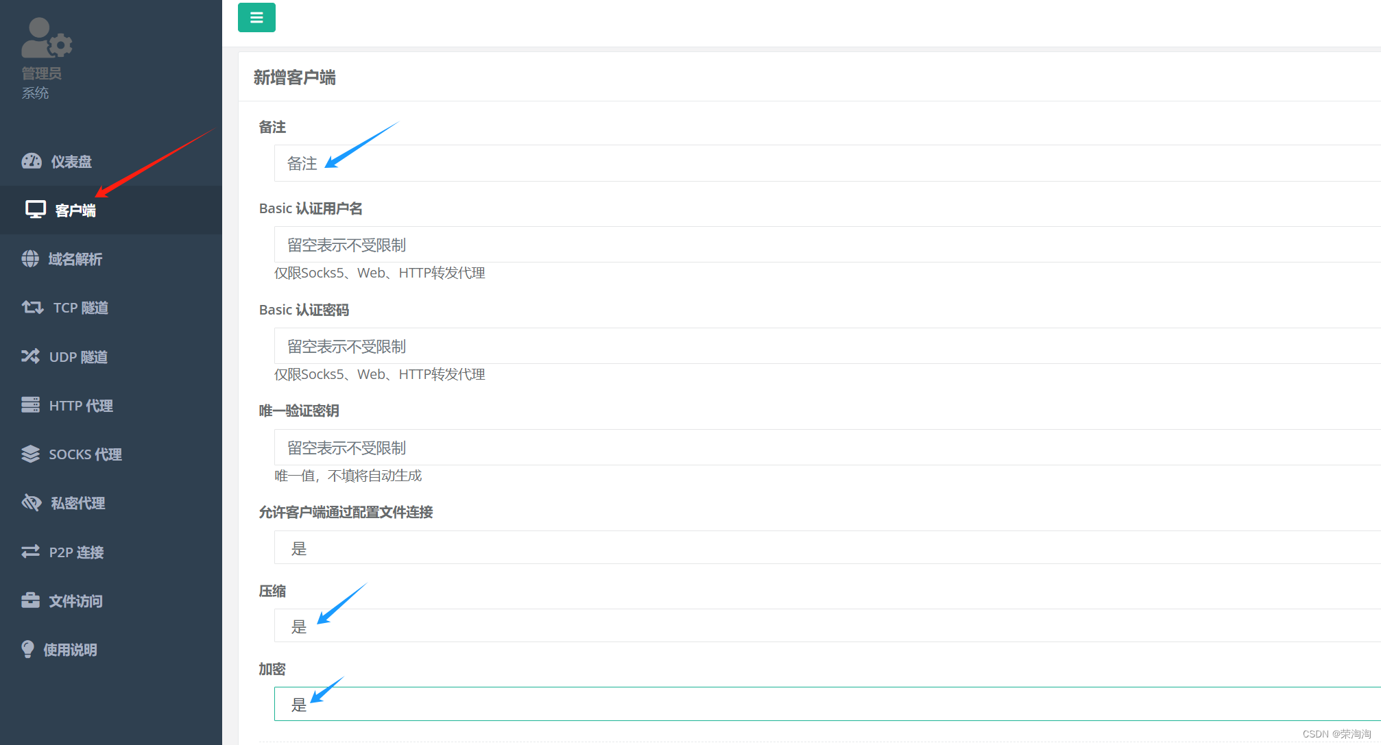 NPS配置内网穿透-Windows,PVE_nps windows-CSDN博客