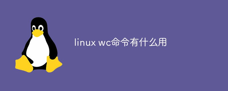 linux中ls l wc,linux wc命令有什么用-CSDN博客