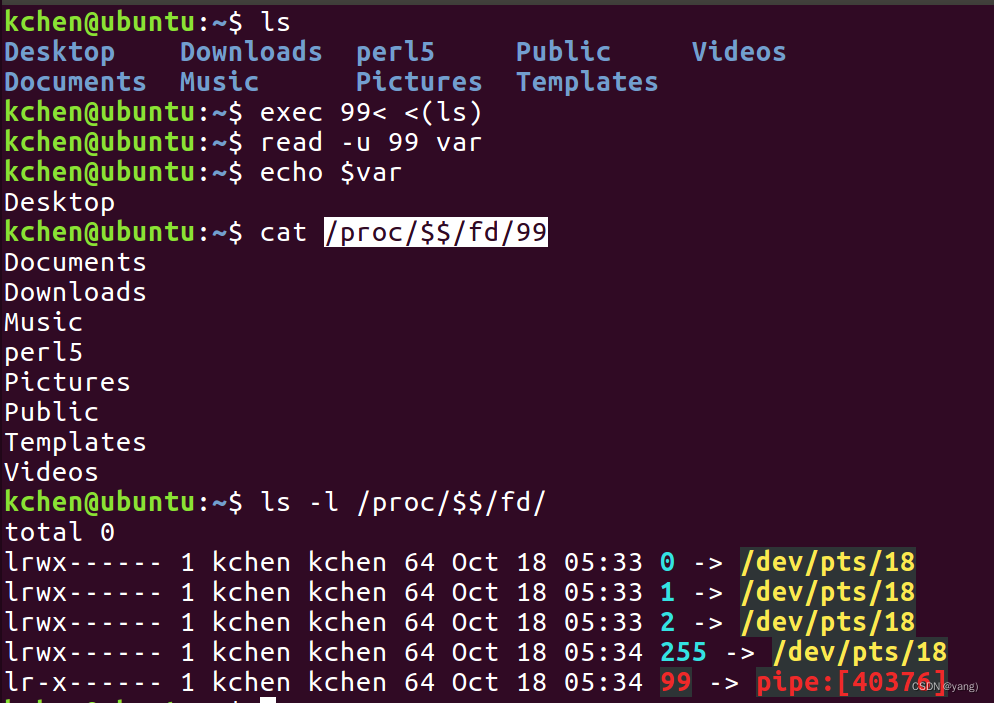 shell 中的进程替换 Process Substitution-CSDN博客
