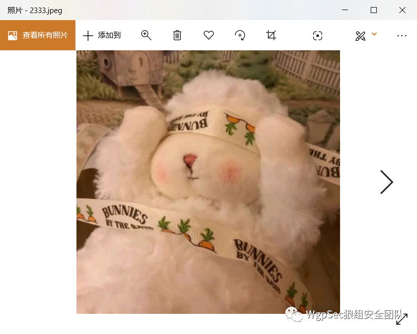ctf图片隐写_WgpSec CTF 神奇的字符 图片隐写 WP-CSDN博客