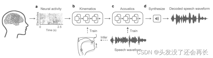 语音神经科学—02.Speech synthesis from neural decoding of spoken sentences-CSDN博客