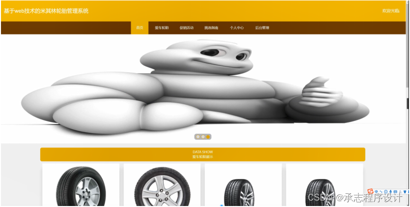 java/php/net/python基于web技术的米其林轮胎管理系统【2024年毕设】-CSDN博客