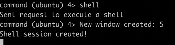 DNScat2工具:通过DNS进行C&C通信 DNS隧道 DNS端口转发 DNS反弹shell_c&c dns外带-CSDN博客