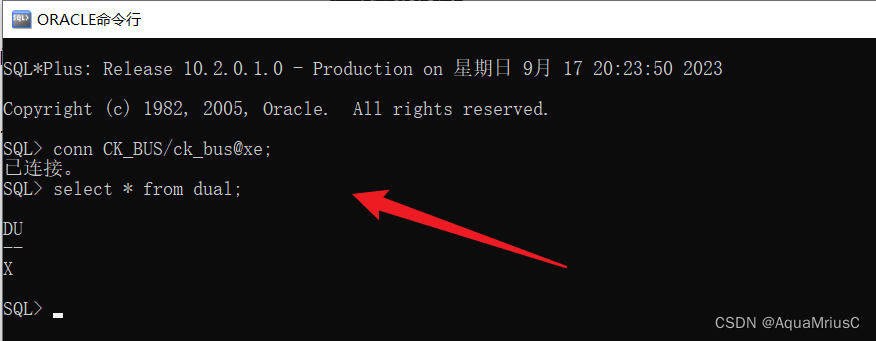 Oracle的安装及使用流程_oracle 安装-CSDN博客