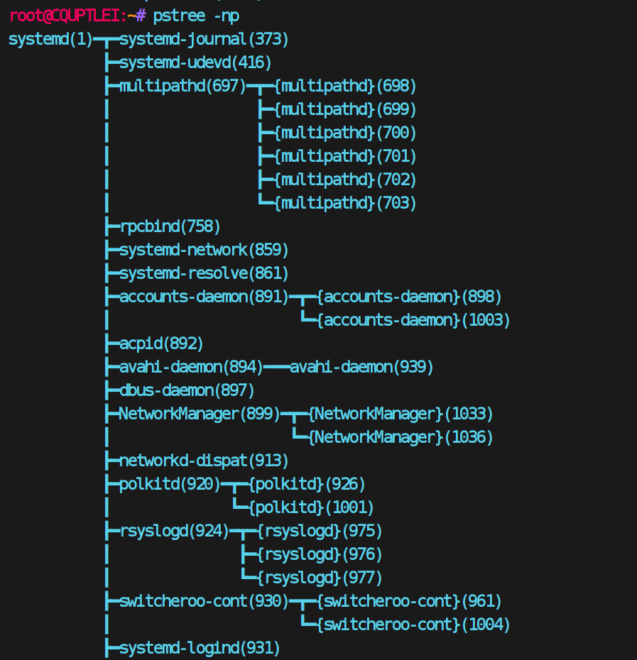【LinuxC】进程（未完）_linux c 进程标识符-CSDN博客