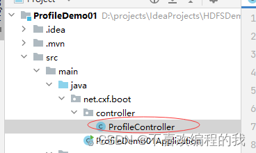 java4.5 掌握Spring Boot多环境配置_java多环境配置-CSDN博客