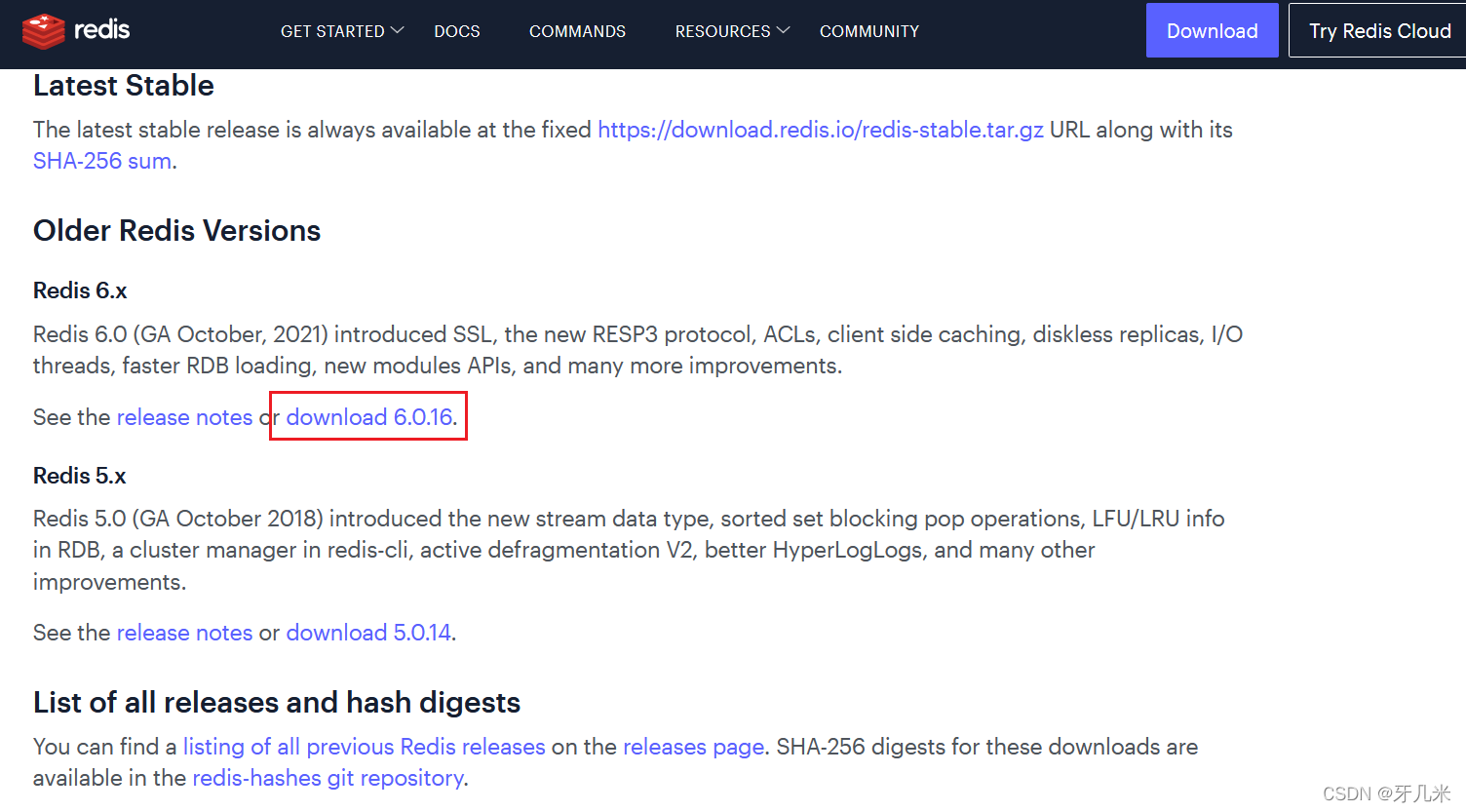 Redis-6.0.16详细安装过程_redis6.0.16-CSDN博客