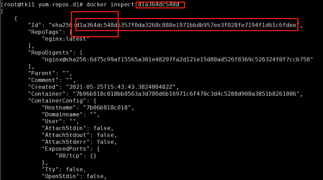 Docker 基本操作 详细讲解_docker mailu-CSDN博客