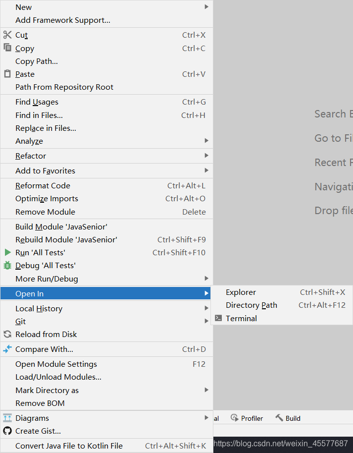 IDEA show in Explorer 打开该文件在资源管理中的位置_showidea中show in explorer是啥意思?-CSDN博客