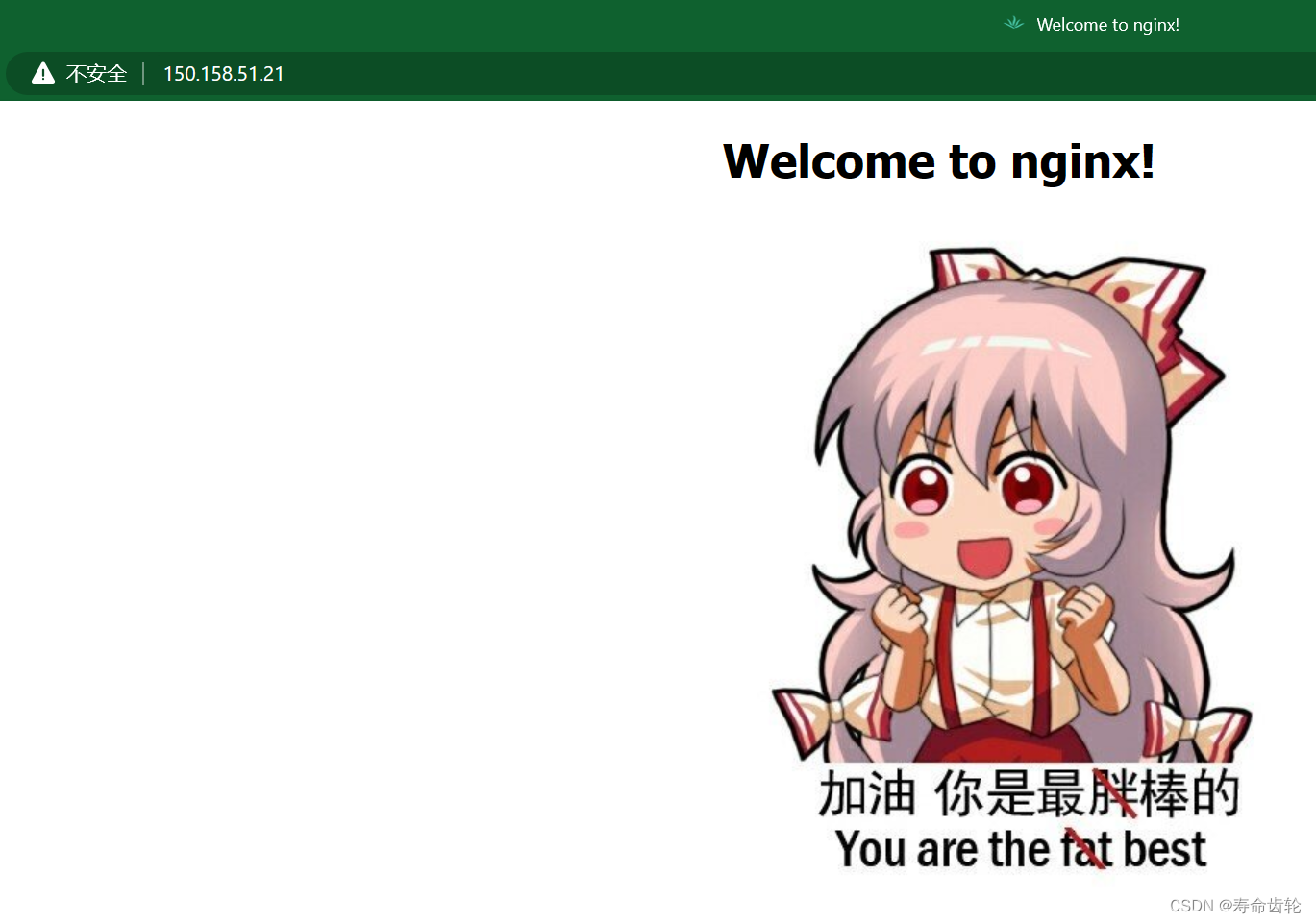 Nginx配置referers防盗链（示意图+代码举例）_nginx防盗链 referer-CSDN博客