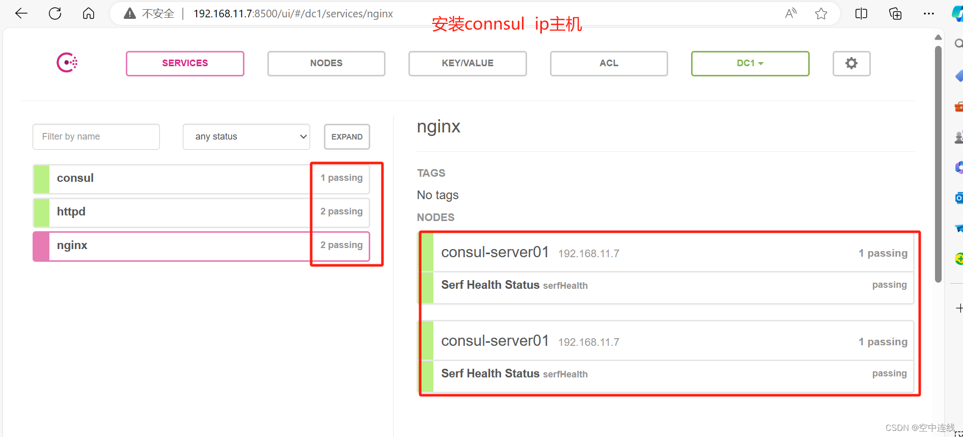consul自动注册，实现负载均衡器与节点服务应用，批量管理容器_consul 自动注册-CSDN博客