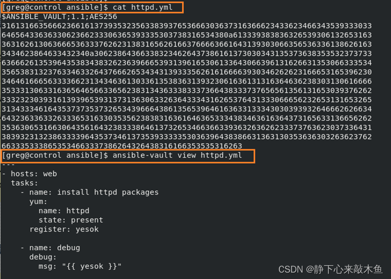 Linux Ansible管理变量、管理事实、管理机密_ansible的魔法变量如何查询-CSDN博客