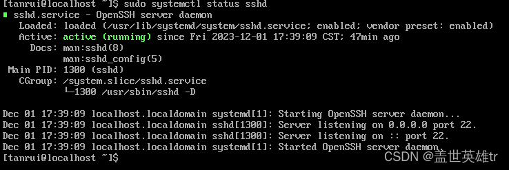Redis安装保姆级教程：从VMware、CentOs、XShell到Redis的全过程下载和安装_xshell下载redis-CSDN博客