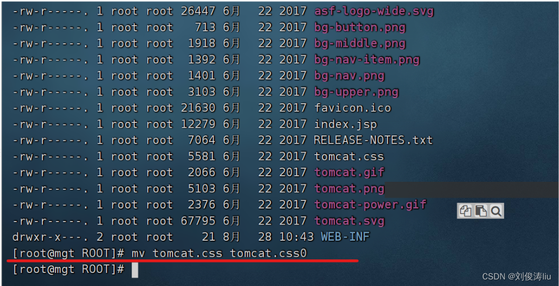 小白带你学习linux的LNMT和动静分离（三十九）-CSDN博客
