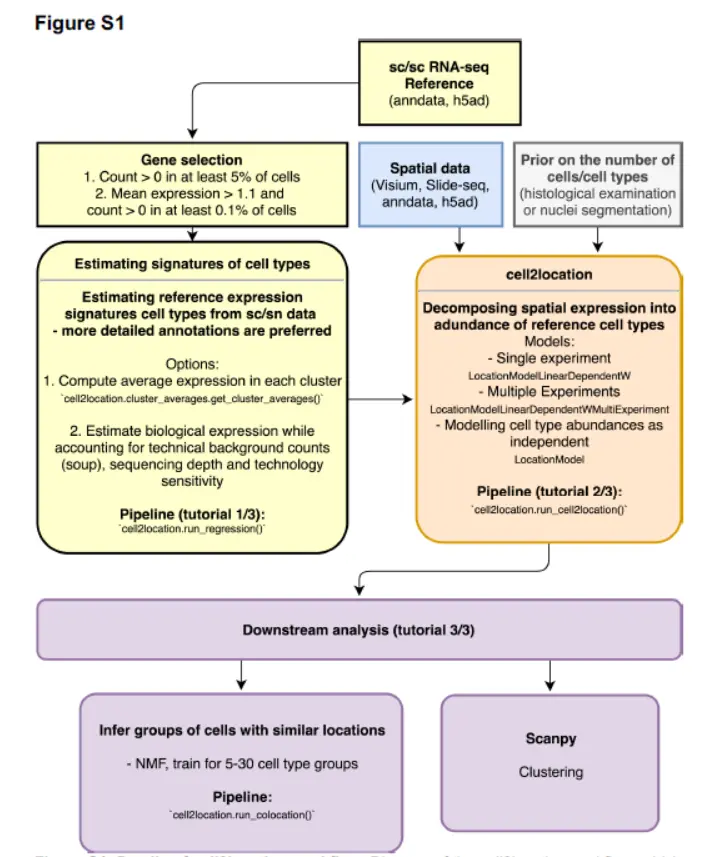 10X单细胞和空间联合分析的方法---cell2location-CSDN博客