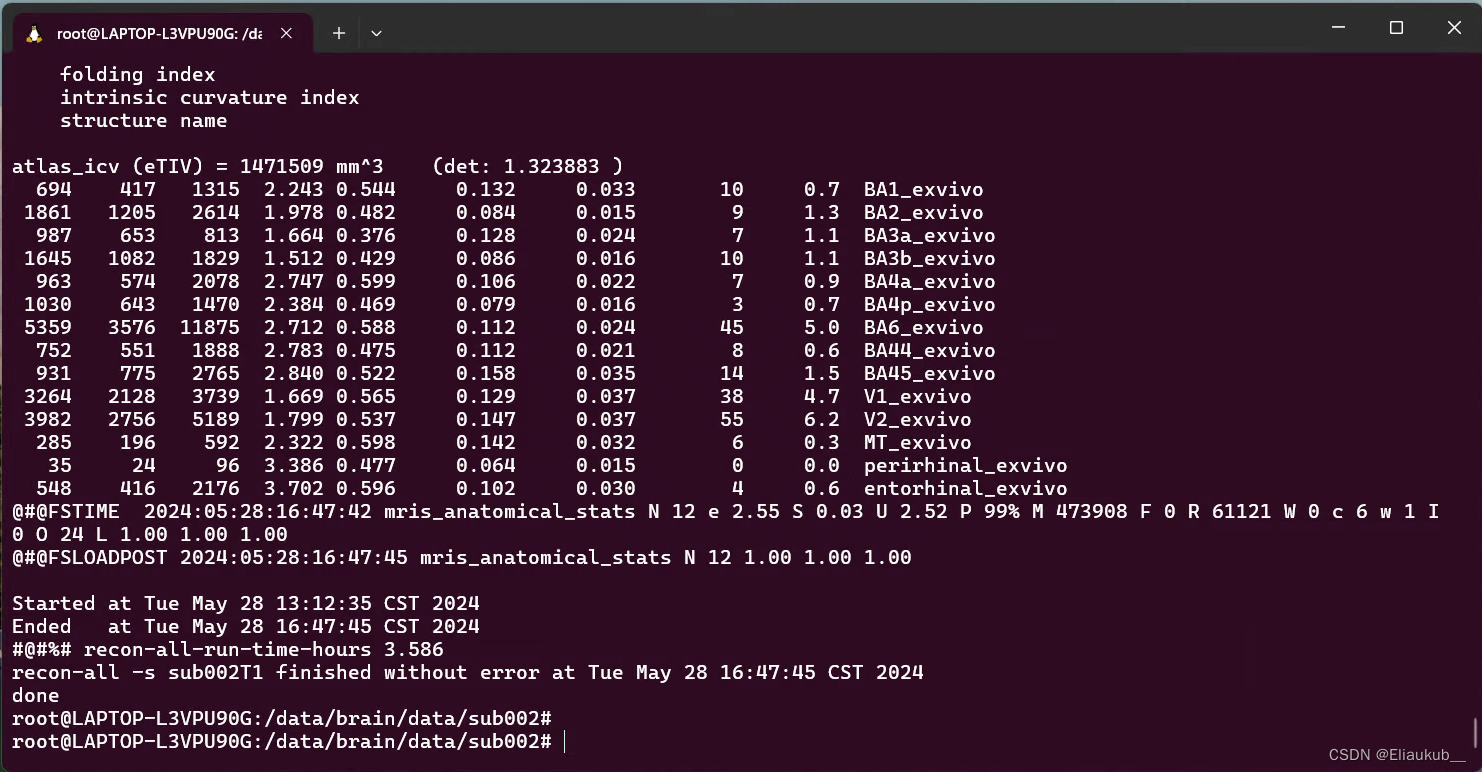 Freesurfer的基本使用（基于WSL2）_freesurfer教程-CSDN博客