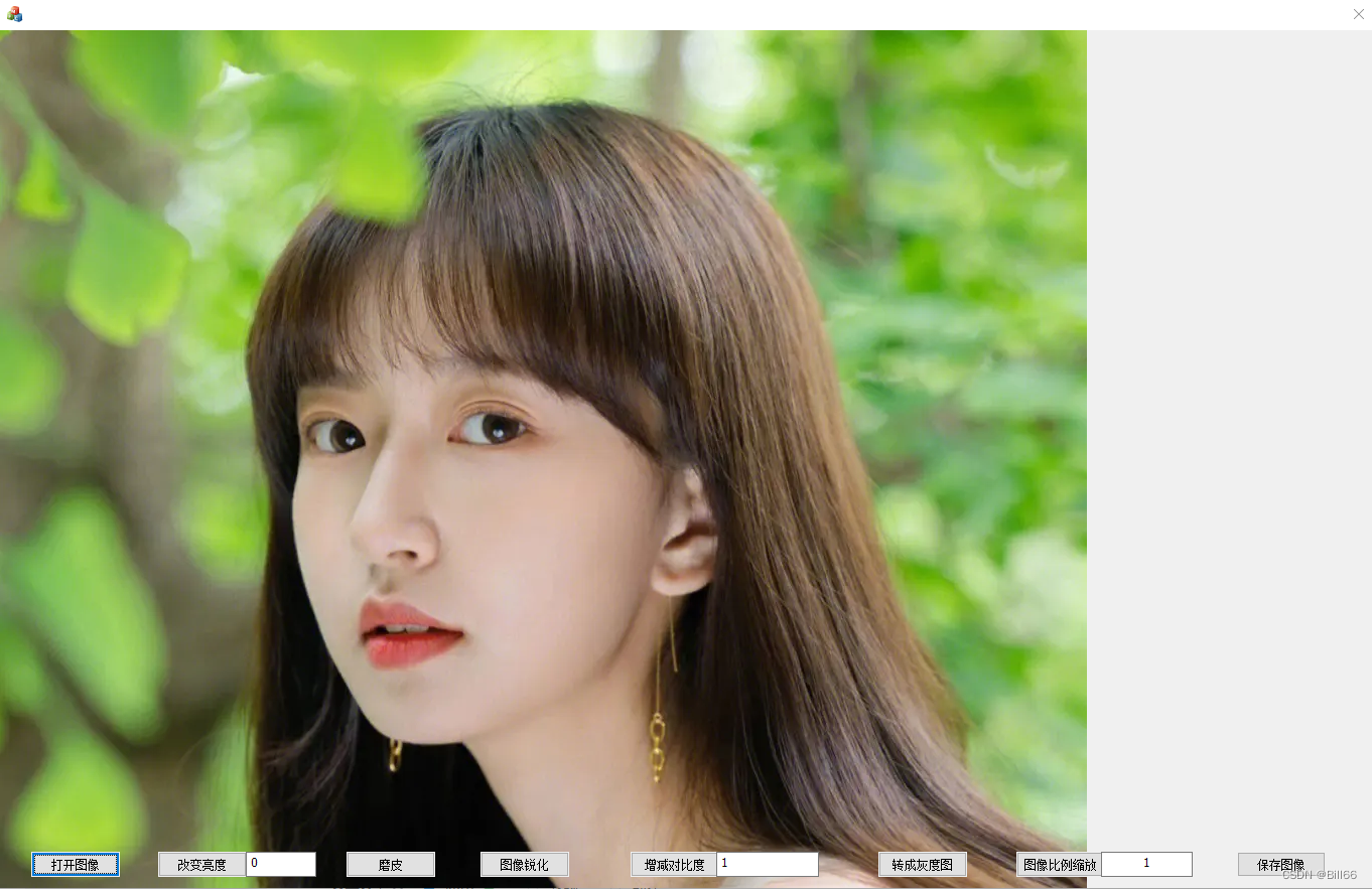 OpenCV Mat对象与CImage对象间的数据传输实例_opencv mat cimage-CSDN博客
