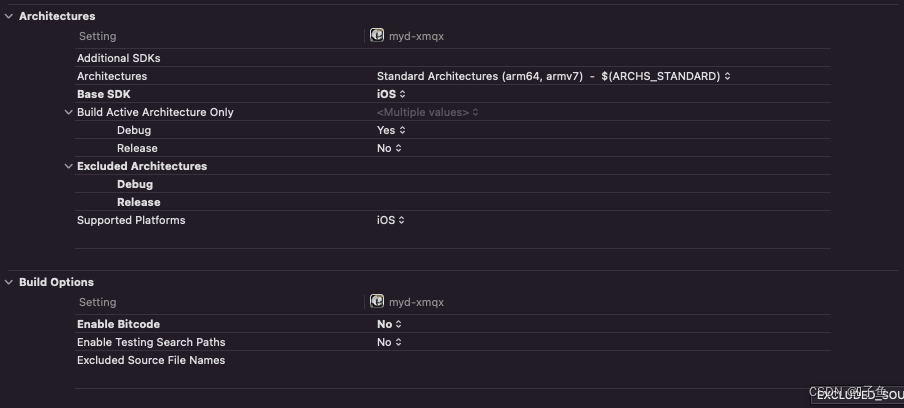 Xcode missing one or more architectures required by this target: armv64._ork 'mgbasekit ...