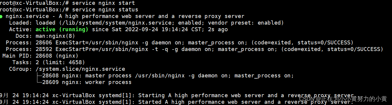 linux下Nginx的卸载、安装_linux卸载nginx-CSDN博客