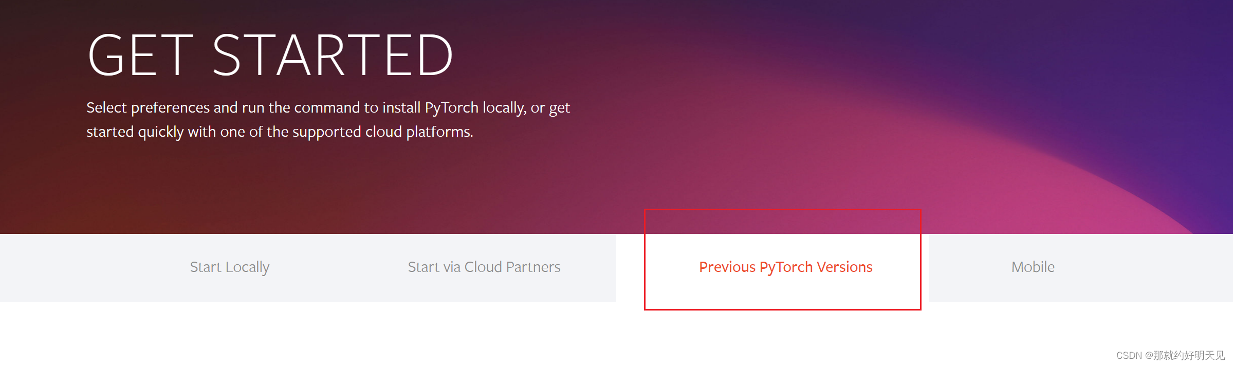 超简单：解决yolo v5测试detect时torch与torchvision版本不匹配的问题_yolov5无法解析倒入torch-CSDN博客