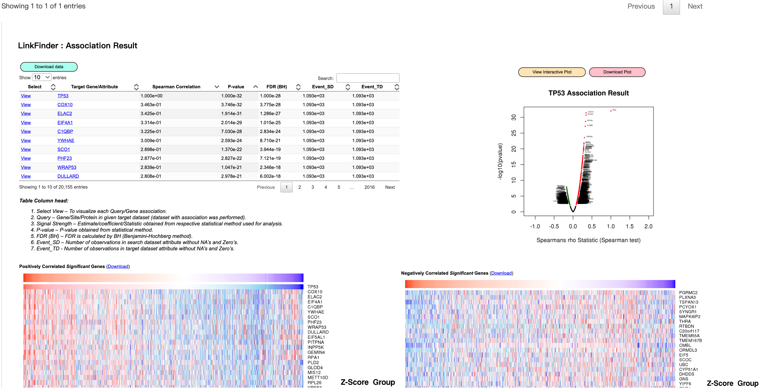 单基因分析 —— 在线数据库使用_depmap数据库-CSDN博客