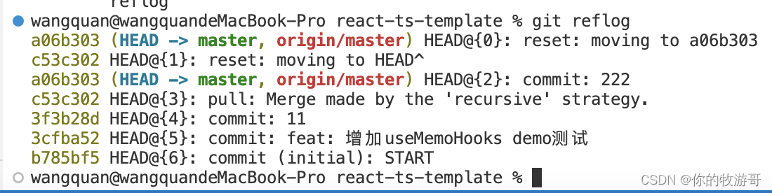 git push --force 后如何恢复上次提交_source tree git push --force-CSDN博客