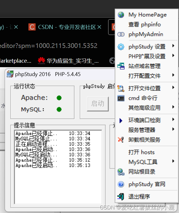 PHP代码使用浏览器运行 环境搭建_php项目怎么放到浏览器-CSDN博客