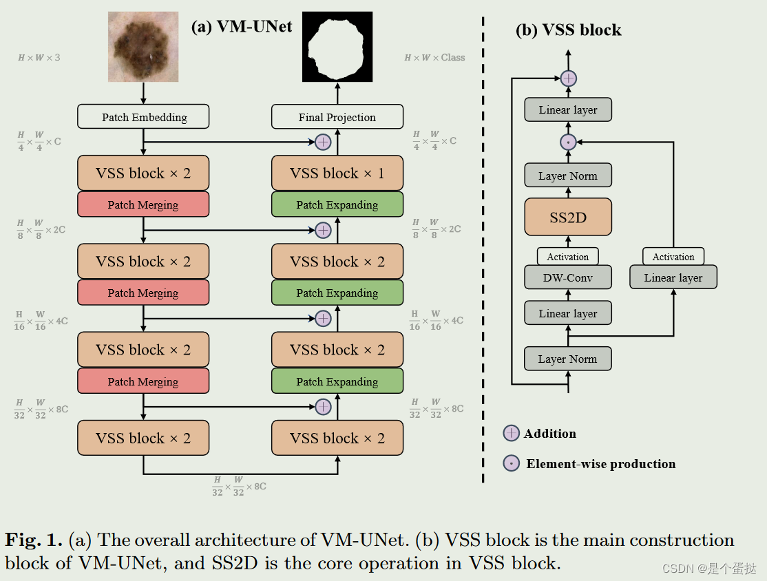 《VM-UNet: Vision Mamba UNet for Medical Image Segmentation》论文阅读及代码复现_vmunet复现-CSDN博客