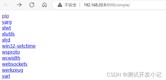 使用pip2pi和nginx搭建私有pip镜像源方法-CSDN博客