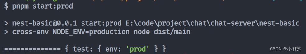 NestJS学习（一）：项目搭建与环境配置_nestjs配置文件-CSDN博客