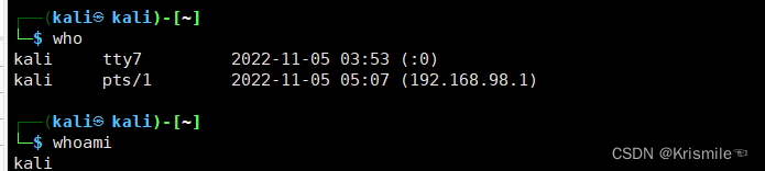 kali Linux 基础命令讲解一_kali保存退出的命令-CSDN博客