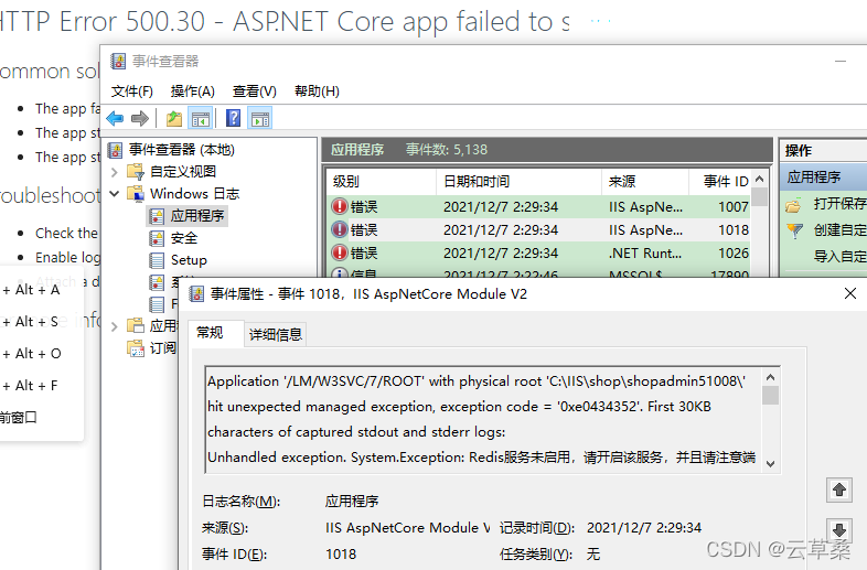 net core HTTP Error 500.31 - Failed to load ASP.NET Core runtime HTTP Error 500.30 - ASP.NET ...