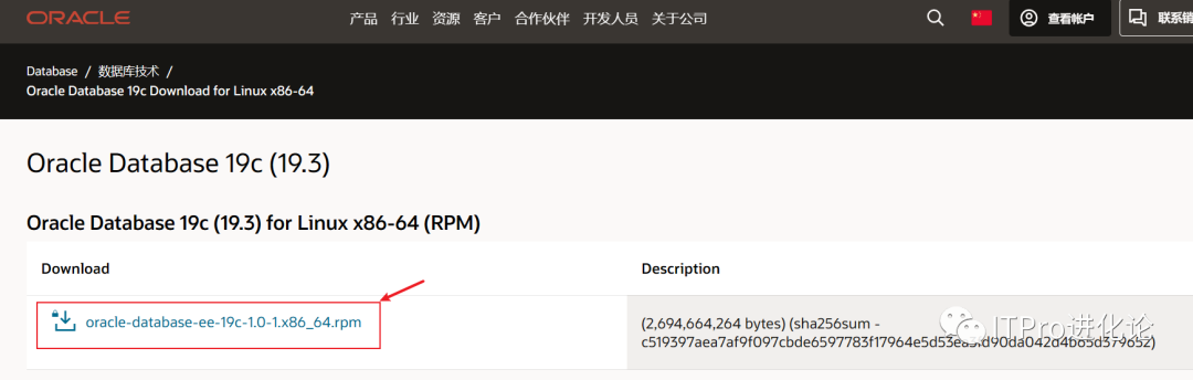 CentOS通过RPM安装Oracle 19C数据库教程_centos rpm安装oracle19c-CSDN博客