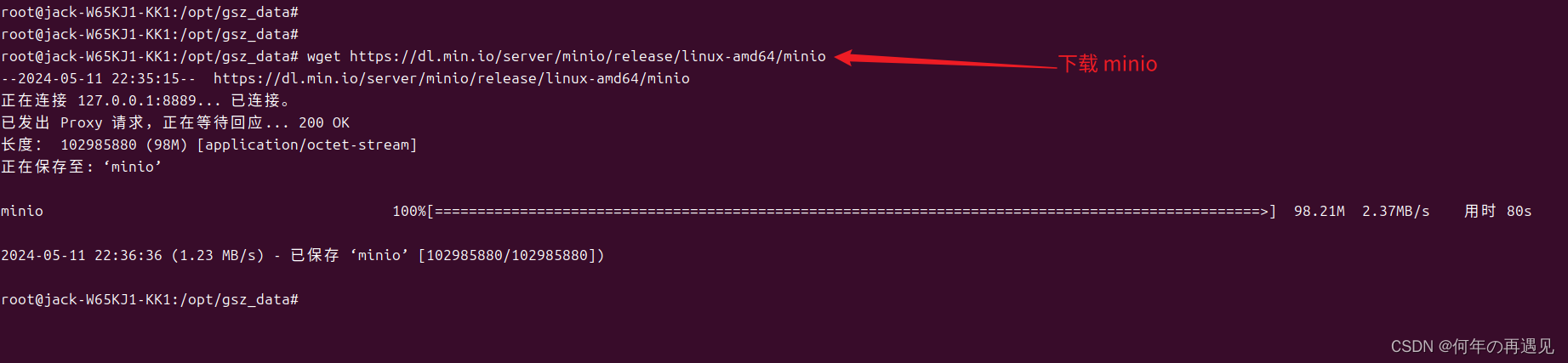 Linux(Ubuntu24.04) 安装 MinIO_ubuntu24.04安装minio-CSDN博客