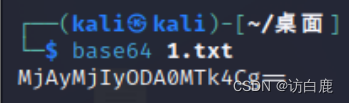 kali/windows/burpsuite/Python下计算md5，sha1，sha256，base64的值_kali md5解密-CSDN博客