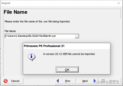 P6技巧，高版本P6计划XER导入到低版本Professional_xer文件-CSDN博客