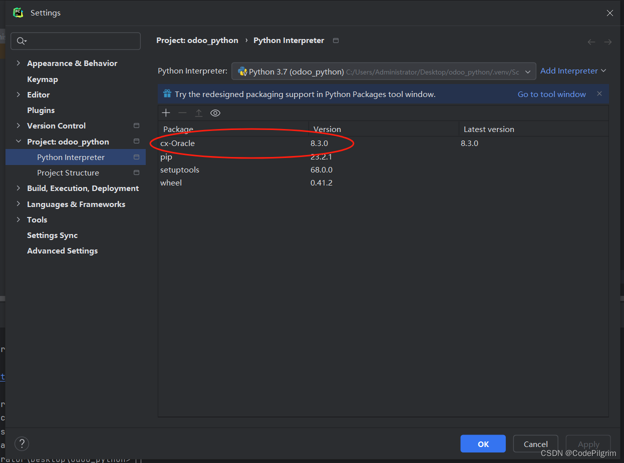 python连接Oracle数据库-CSDN博客