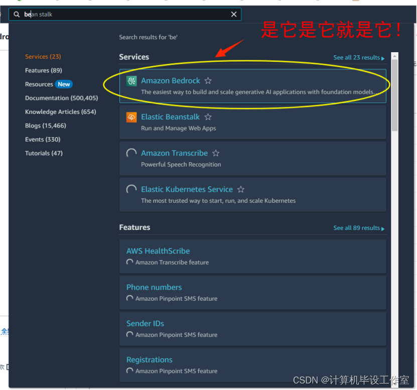 AWS账号和Claude 3 Opus模型手把手实操教程_claude aws-CSDN博客