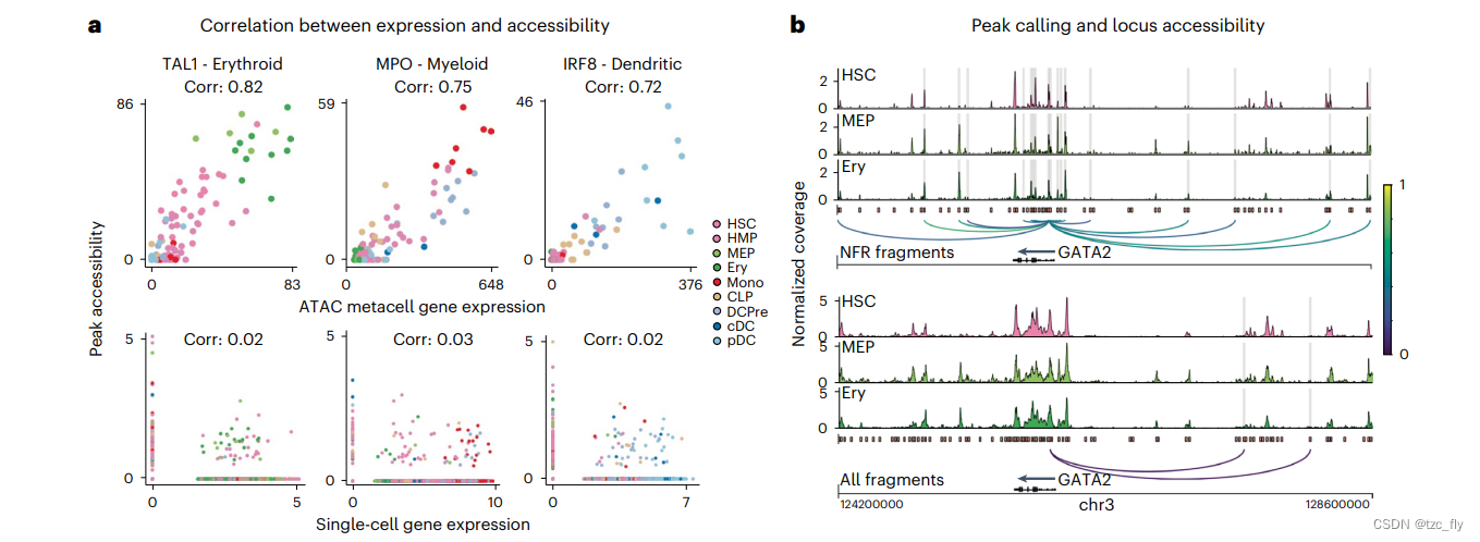 SEACells：元细胞分析-CSDN博客