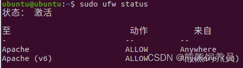 【26】应用开发——如何在Ubuntu系统中安装并配置Apache Http Server_apache安装ubuntu-CSDN博客